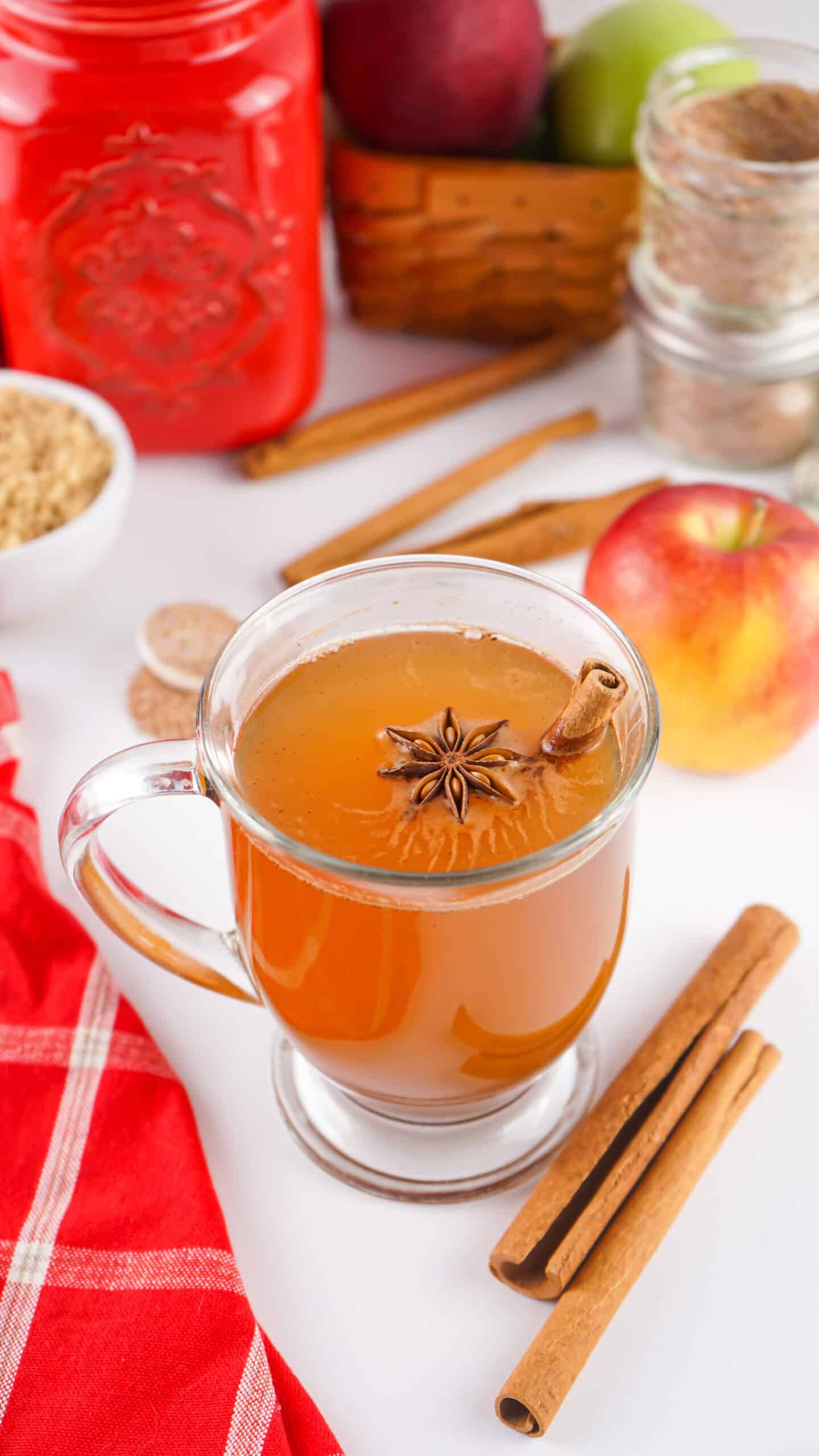 DIY Spiced Apple Cider Mix: Flavorful Autumn Blend - An Alli Event