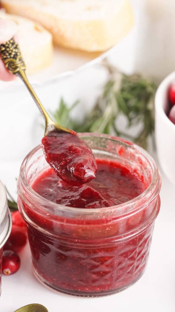 Easy Slow Cooker Christmas Jam Recipe - An Alli Event